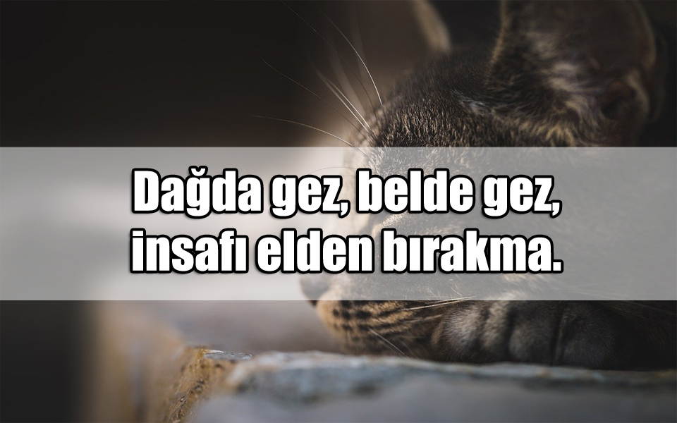 İnsaf İle İlgili Sözler | Aşk Sözleri, Güzel Sözler, Anlamlı Güzel ...